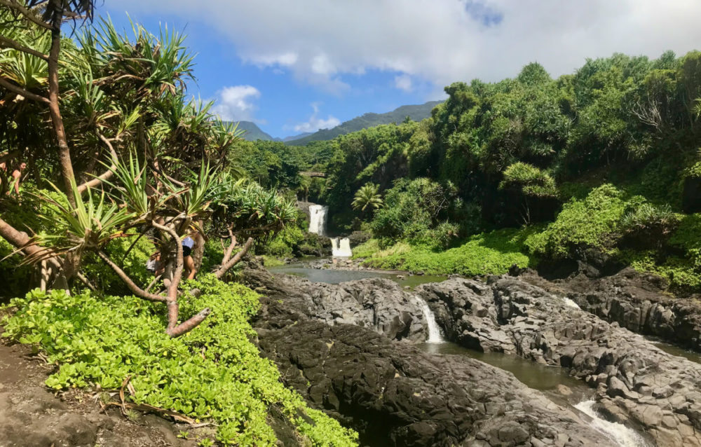 7 Sacred Pools & Pipiwai Trail | Unique Maui TourS